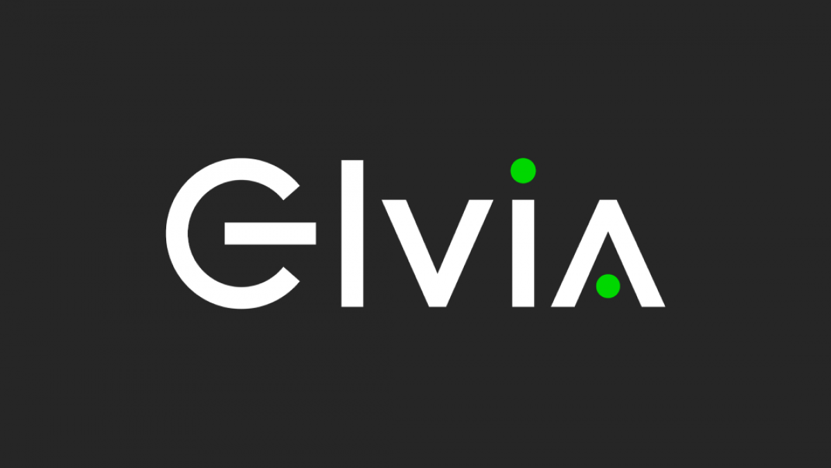 Logo | Elvia Brandguide