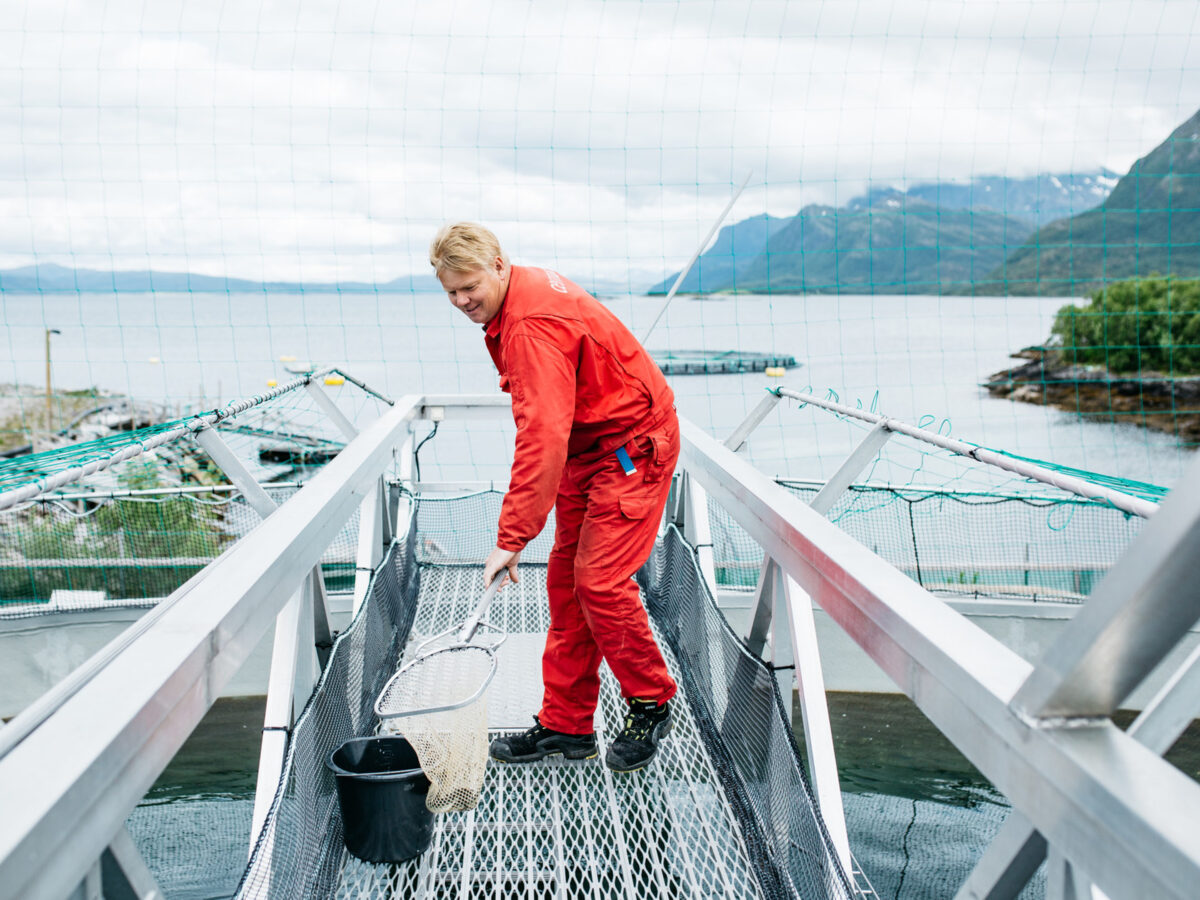 Foto | Forskningsrådet Brandguide