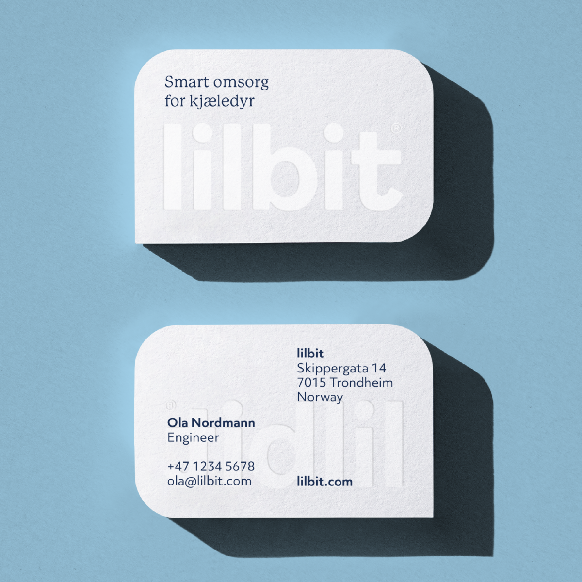 Graphic shapes | Lilbit Brandguide